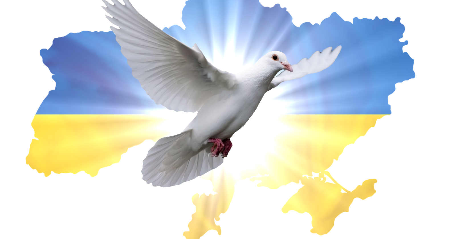 Hilfe für Sarny / Ukraine